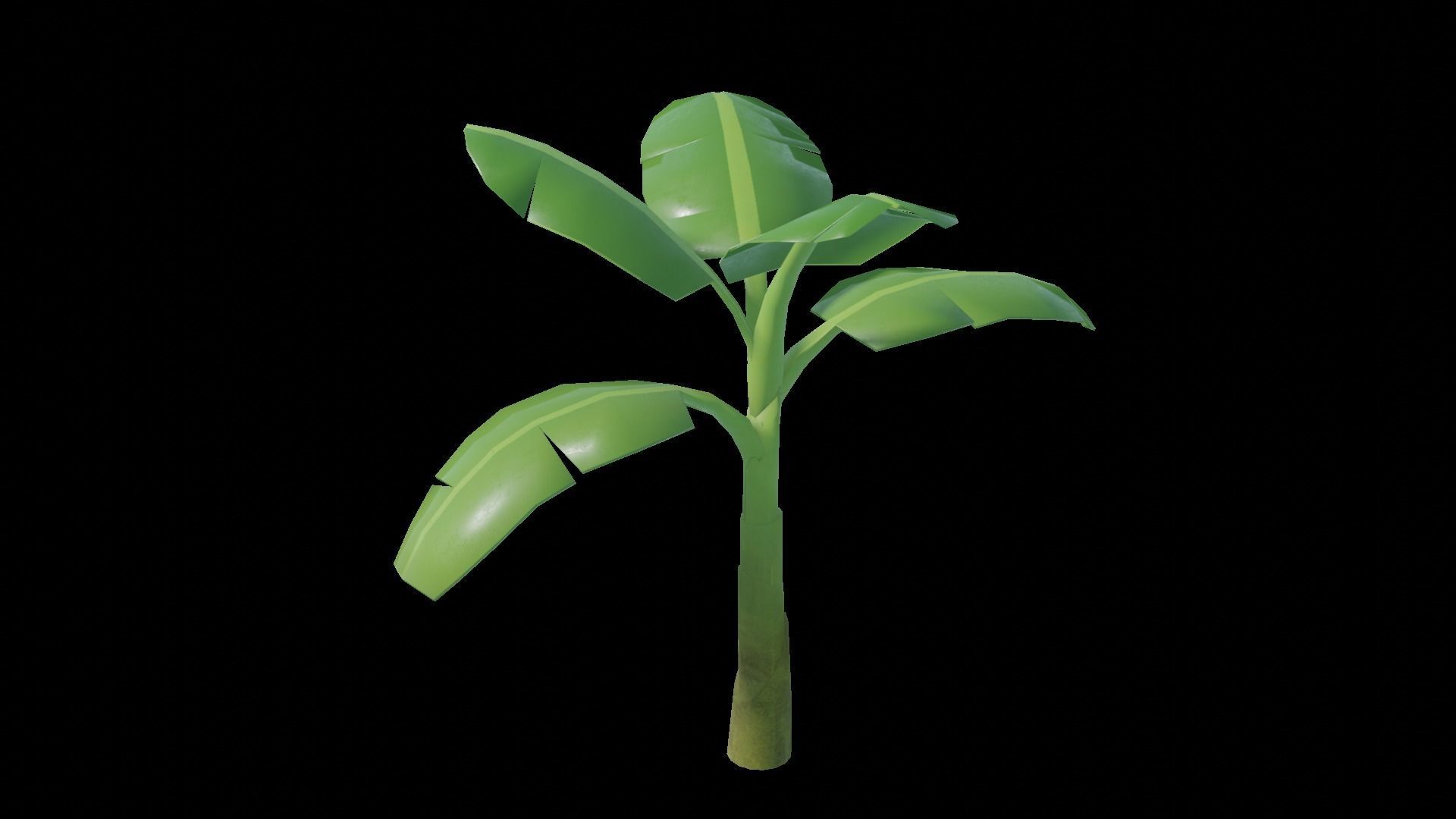 Banana Tree free VR / AR / low-poly 3D model | CGTrader