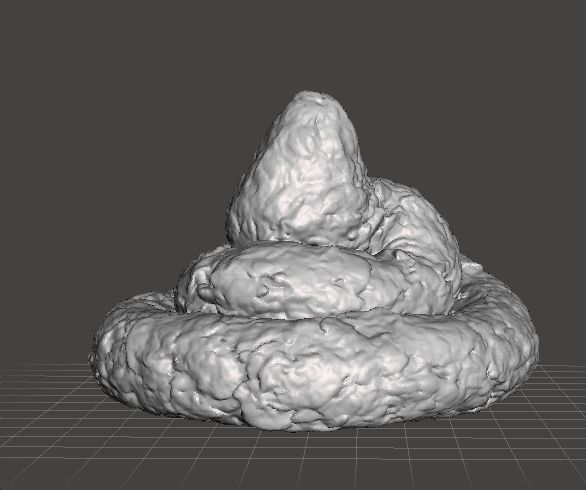 REAL POOP PLASTIC LIFESIZE MODEL FOR JOKES PRANK FRIENDS 3D model 3D ...