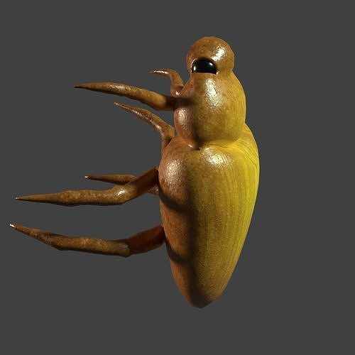 3D model Bug 3D Rigged Model VR / AR / low-poly | CGTrader