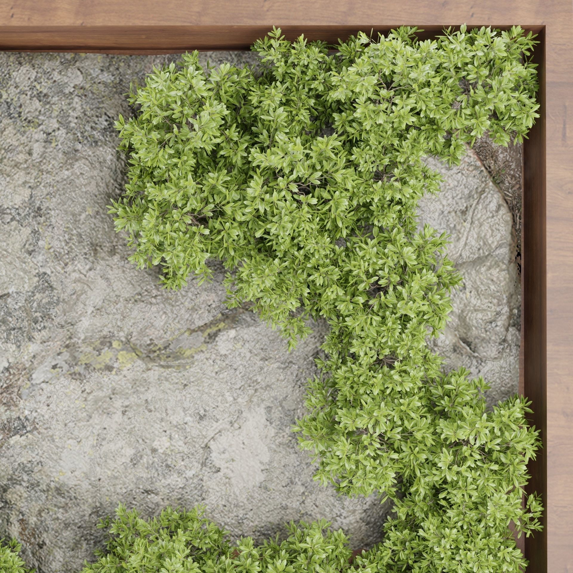 Vertical Rock Garden vol 133-Blender 3D model | CGTrader