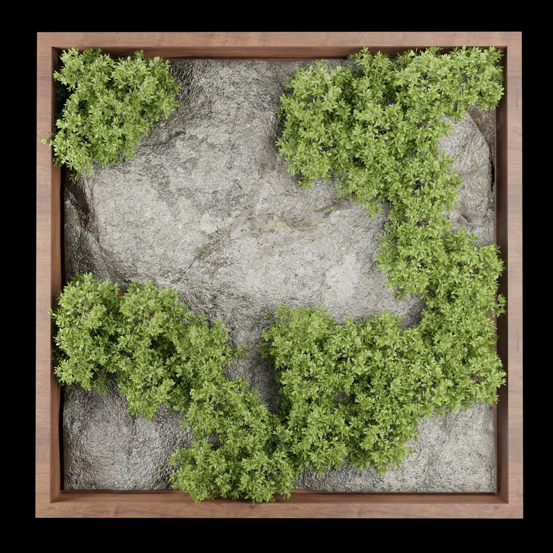 Vertical Rock Garden vol 133-Blender 3D model | CGTrader