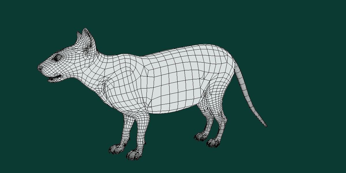 Fossa Animal 3D model animated rigged | CGTrader