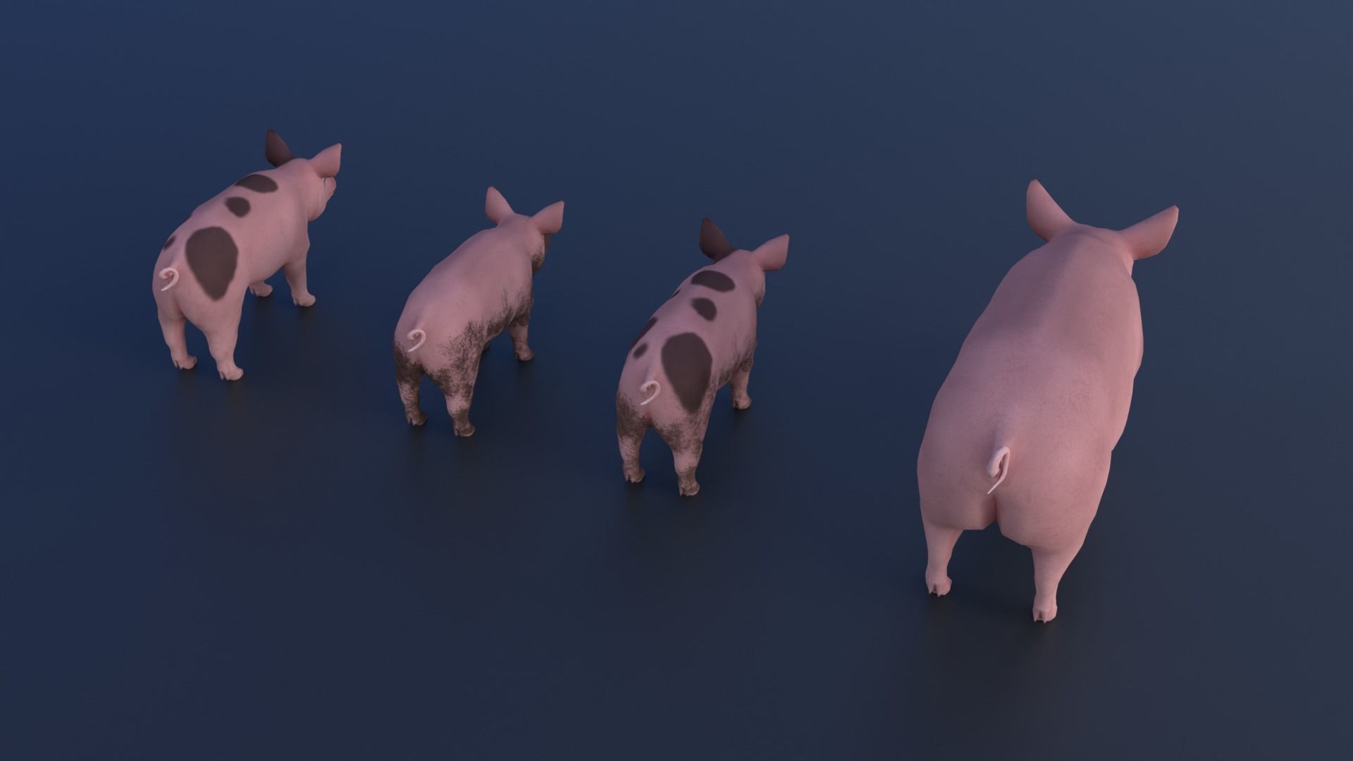 3D model Pig Collection 3D models VR / AR / low-poly | CGTrader