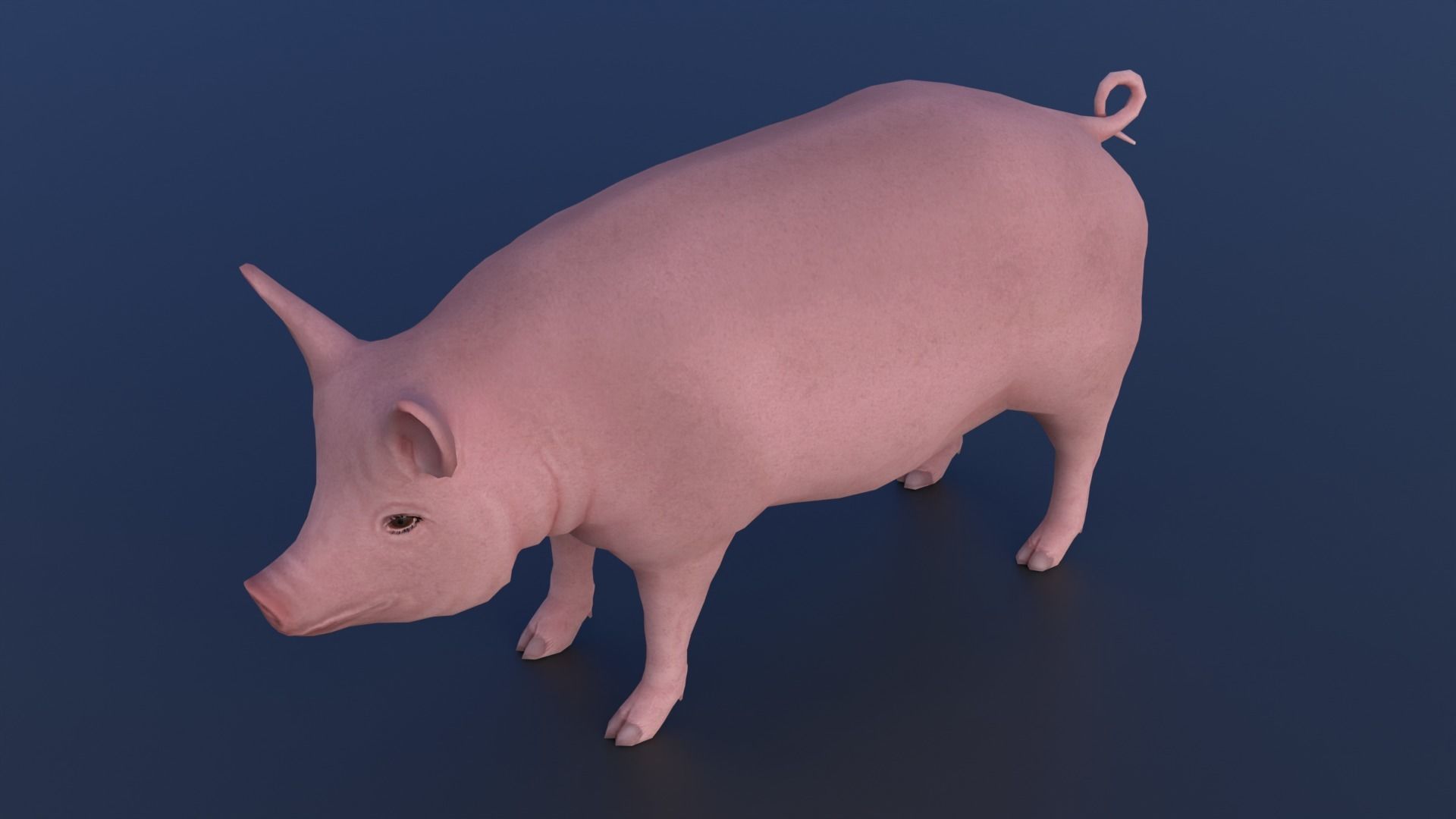 3D model Pig Collection 3D models VR / AR / low-poly | CGTrader