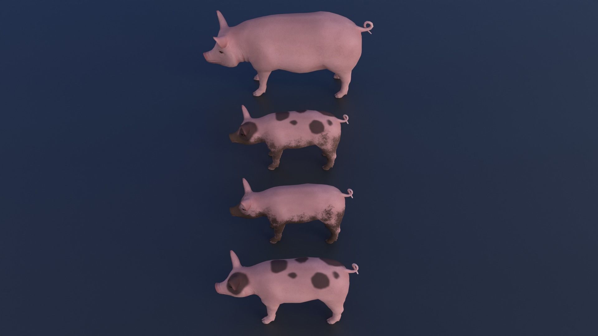 3D model Pig Collection 3D models VR / AR / low-poly | CGTrader