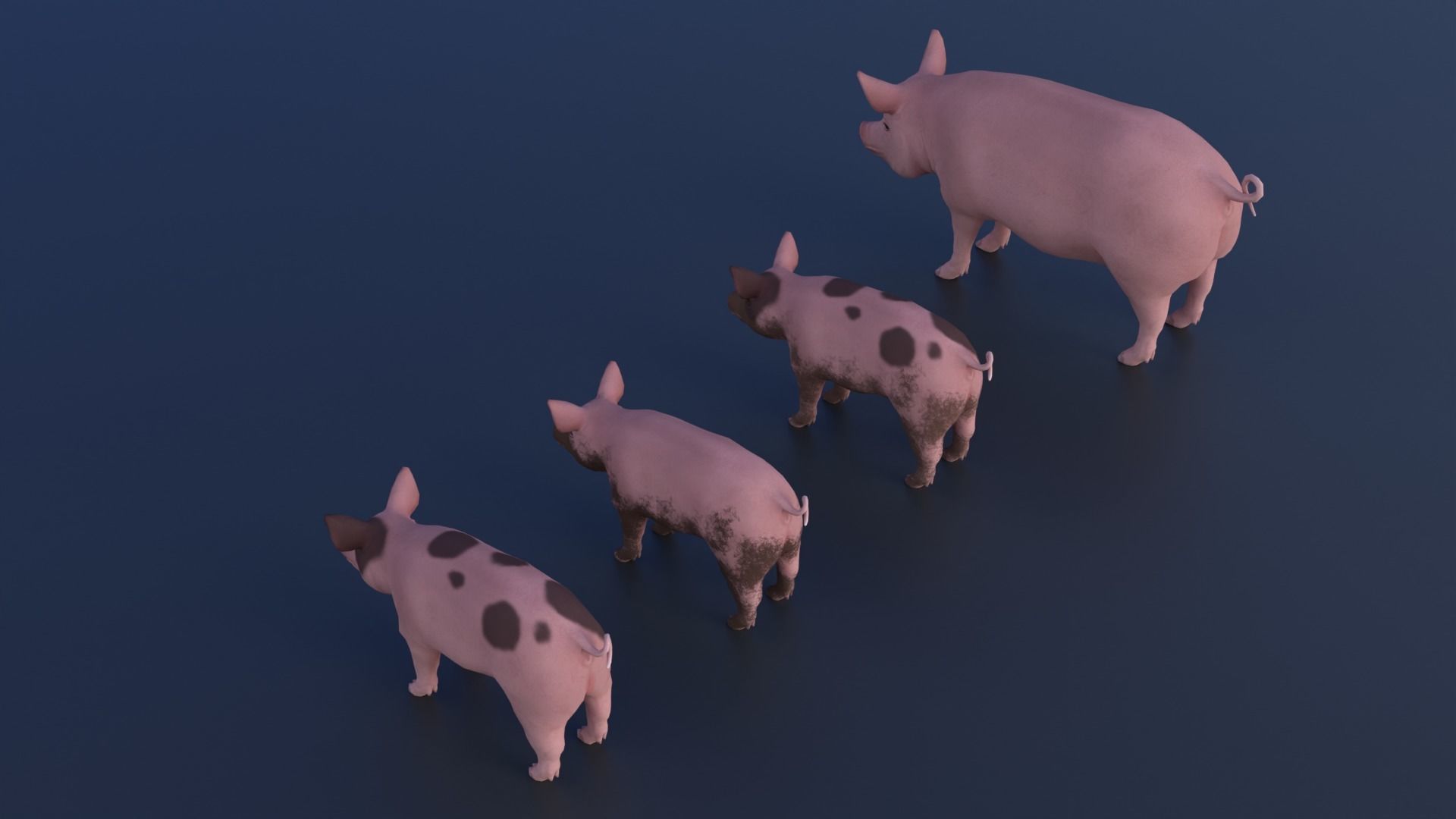 3D model Pig Collection 3D models VR / AR / low-poly | CGTrader