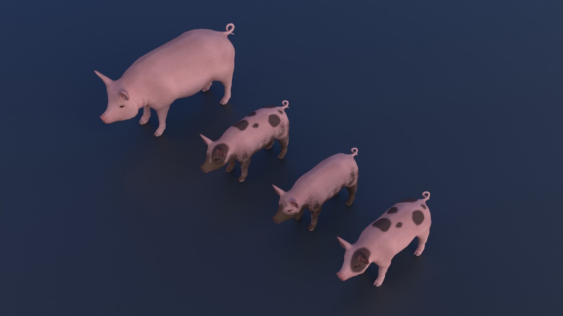 3D model Pig Collection 3D models VR / AR / low-poly | CGTrader