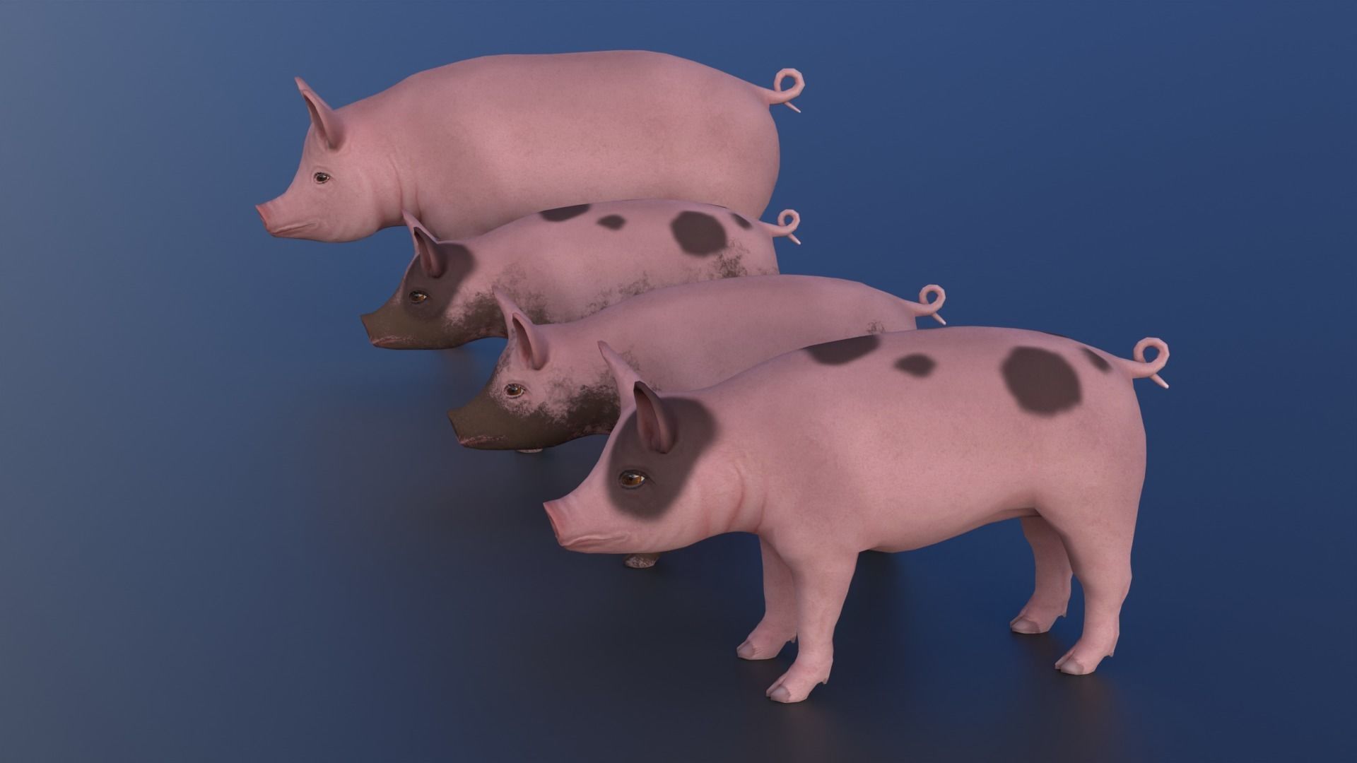 3D model Pig Collection 3D models VR / AR / low-poly | CGTrader