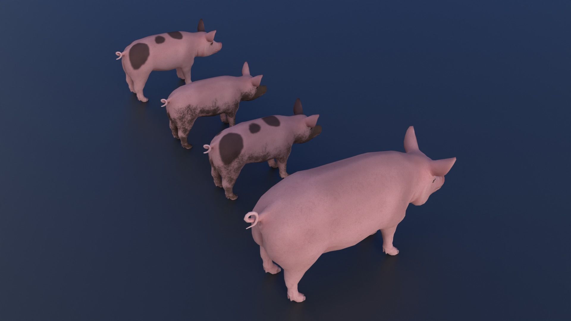 3D model Pig Collection 3D models VR / AR / low-poly | CGTrader
