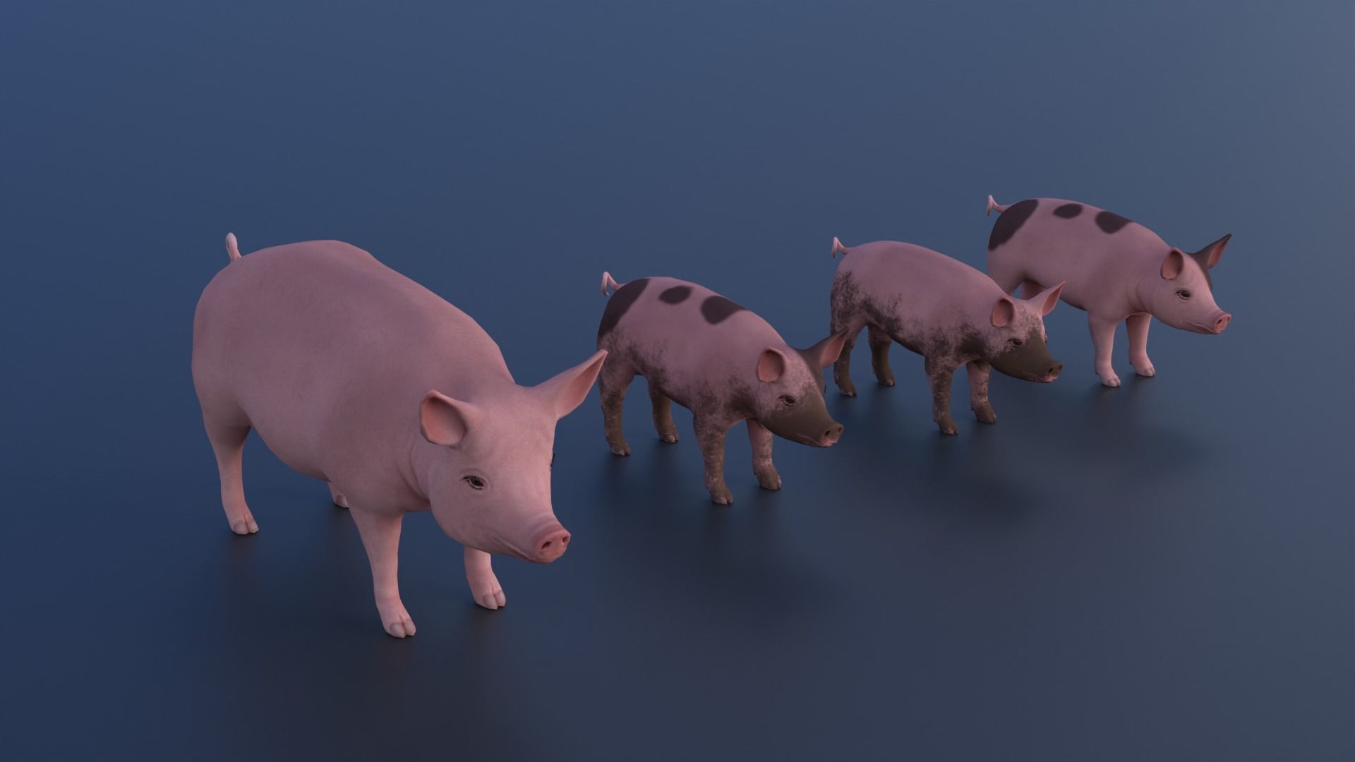 3D model Pig Collection 3D models VR / AR / low-poly | CGTrader