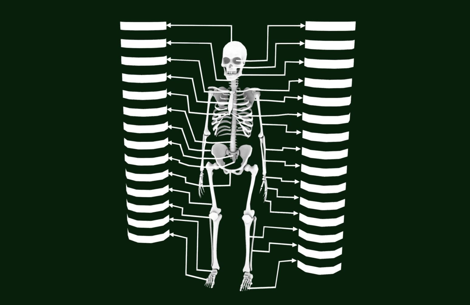 3D model Skeleton - Names of Human Skeleton VR / AR / low-poly | CGTrader