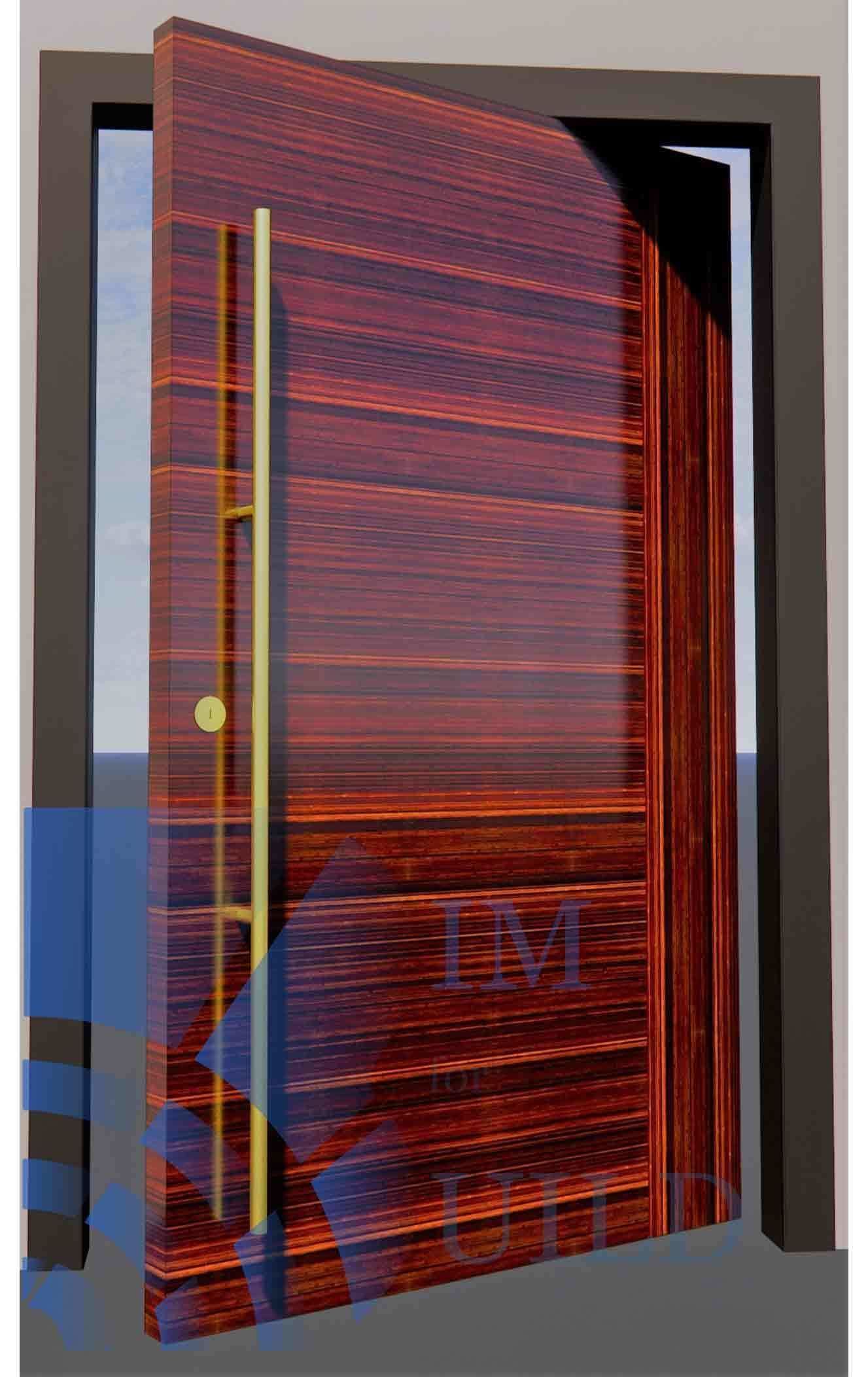 Revit door family full parametric 3D model | CGTrader