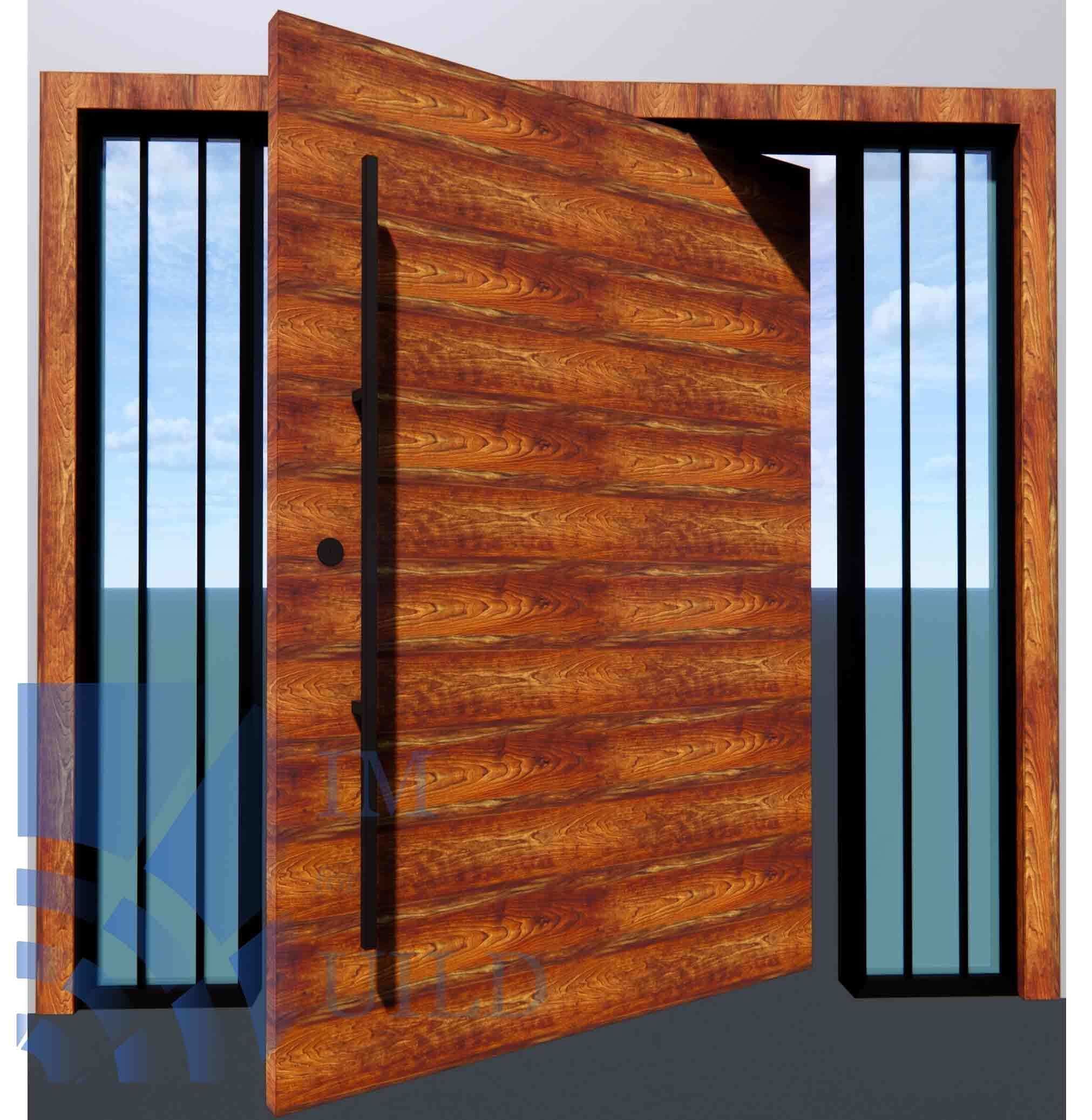 Exterior Pivot Door with Glasses Revit Family full parametric 3D model ...