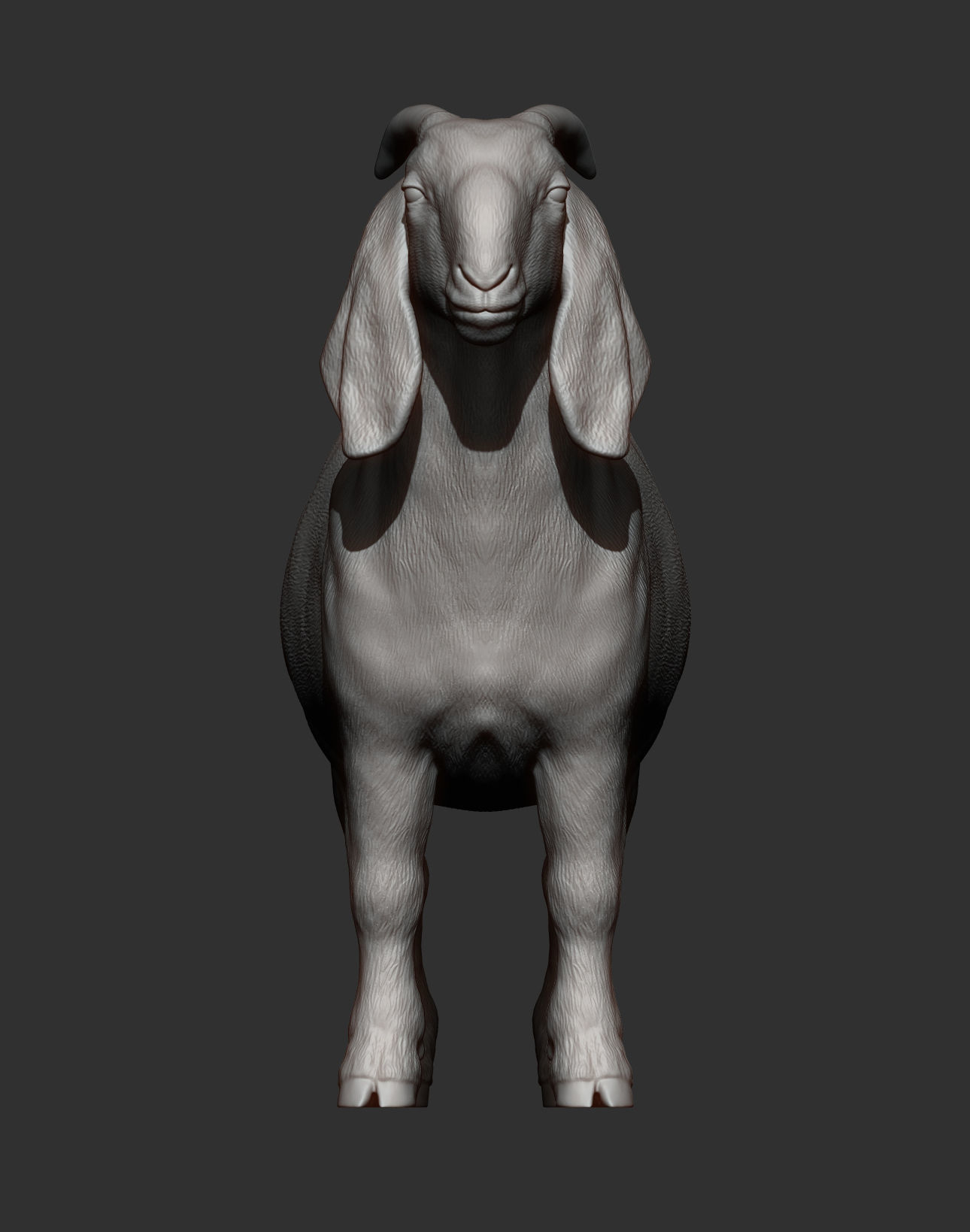 Boer Goats female 3D model 3D printable | CGTrader