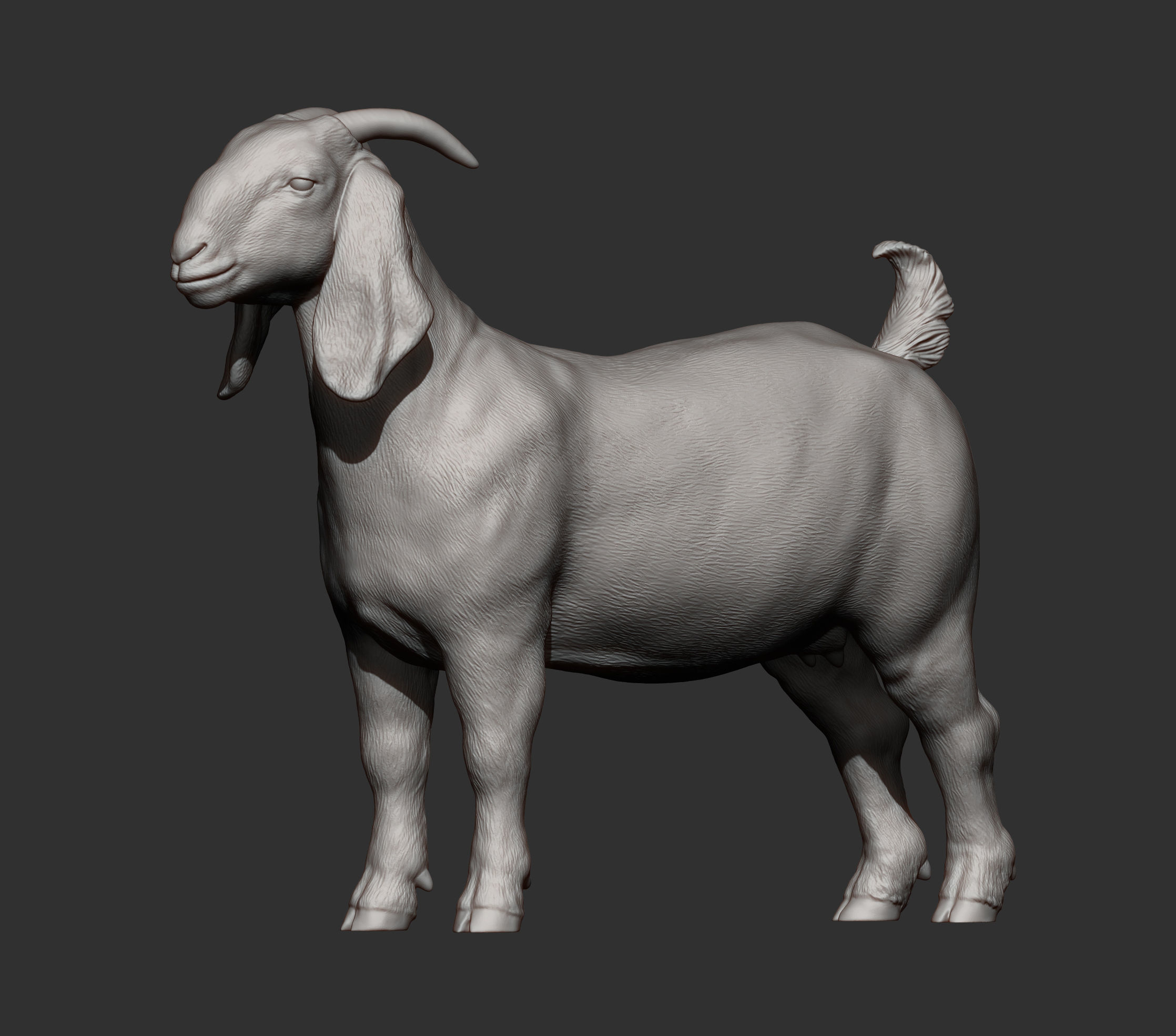 Boer Goats female 3D model 3D printable | CGTrader