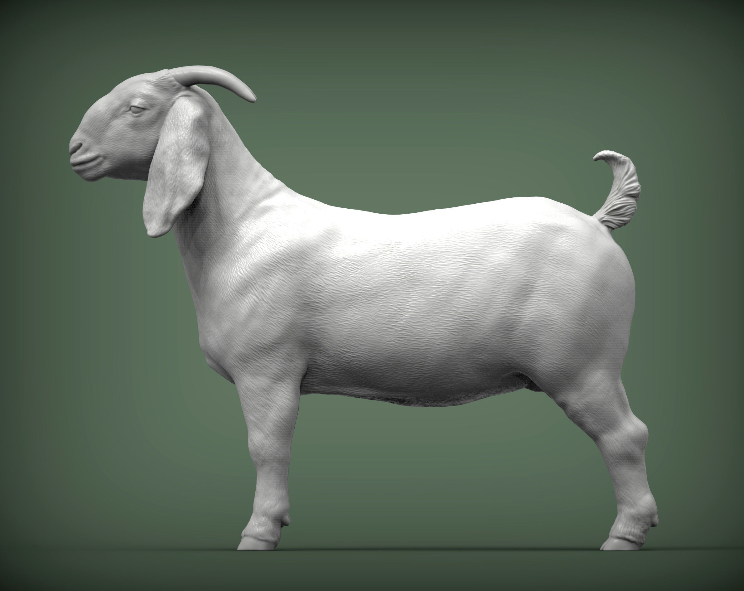 Boer Goats female 3D model 3D printable | CGTrader