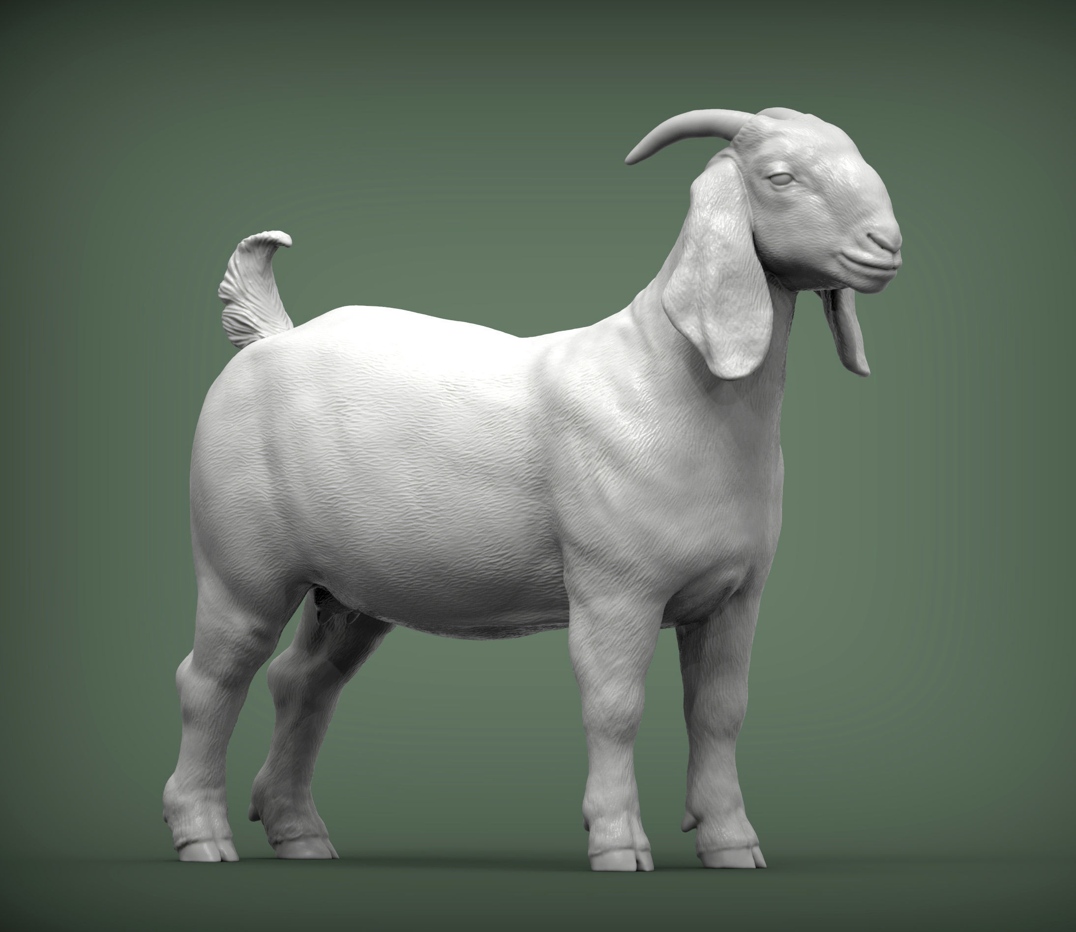 Boer Goats female 3D model 3D printable | CGTrader
