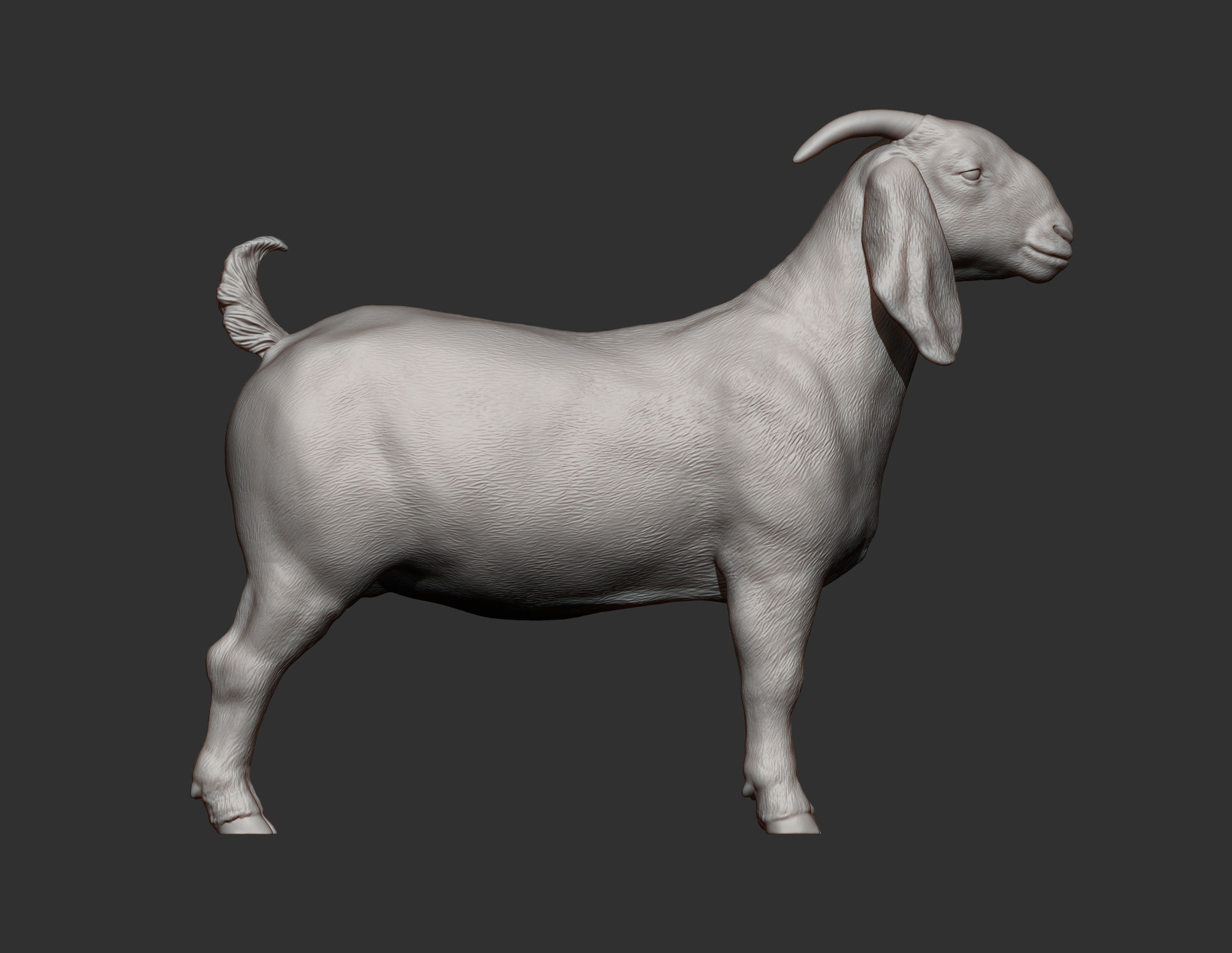 Boer Goats female 3D model 3D printable | CGTrader