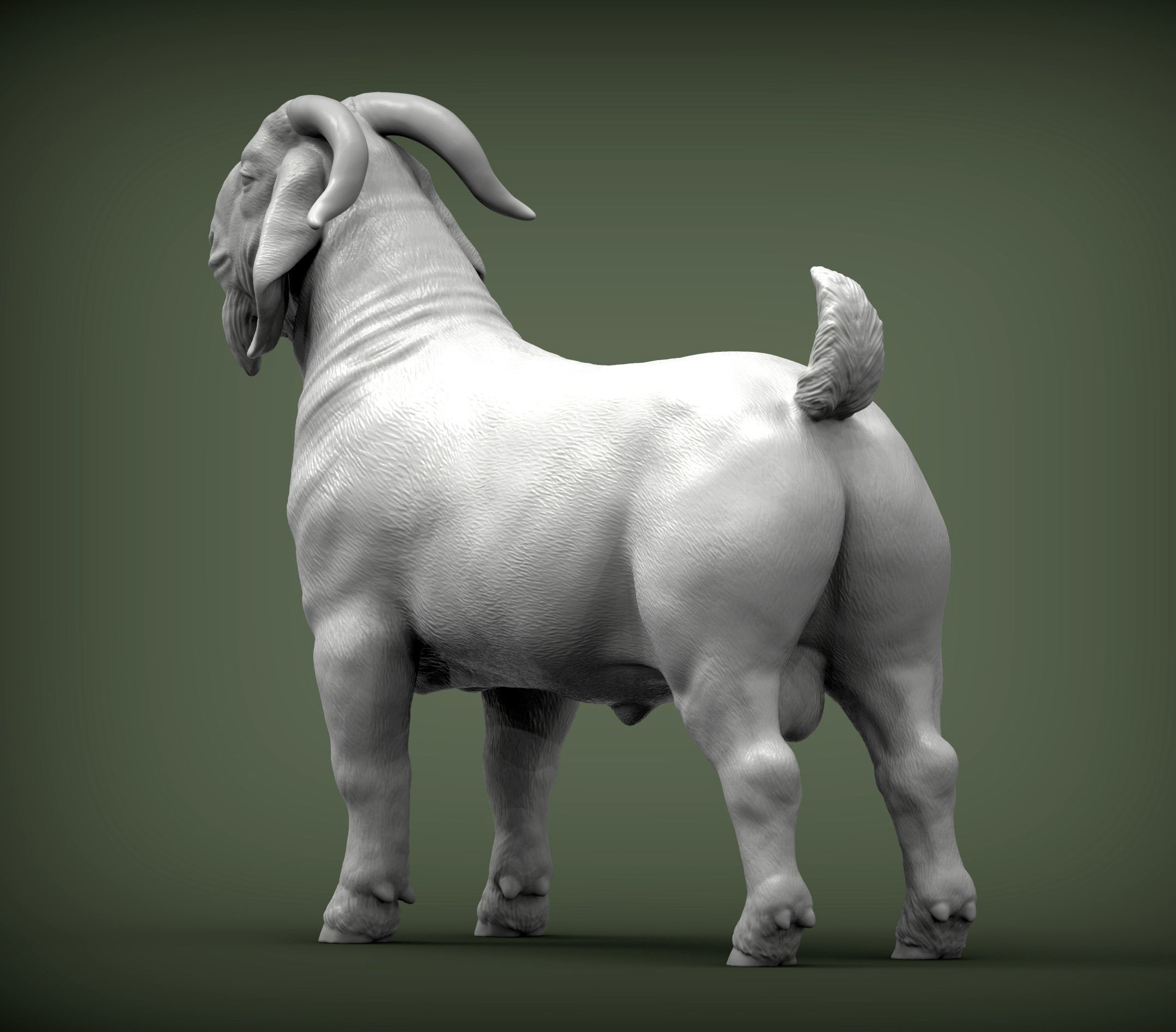 Boer Goats male 3D model 3D printable | CGTrader