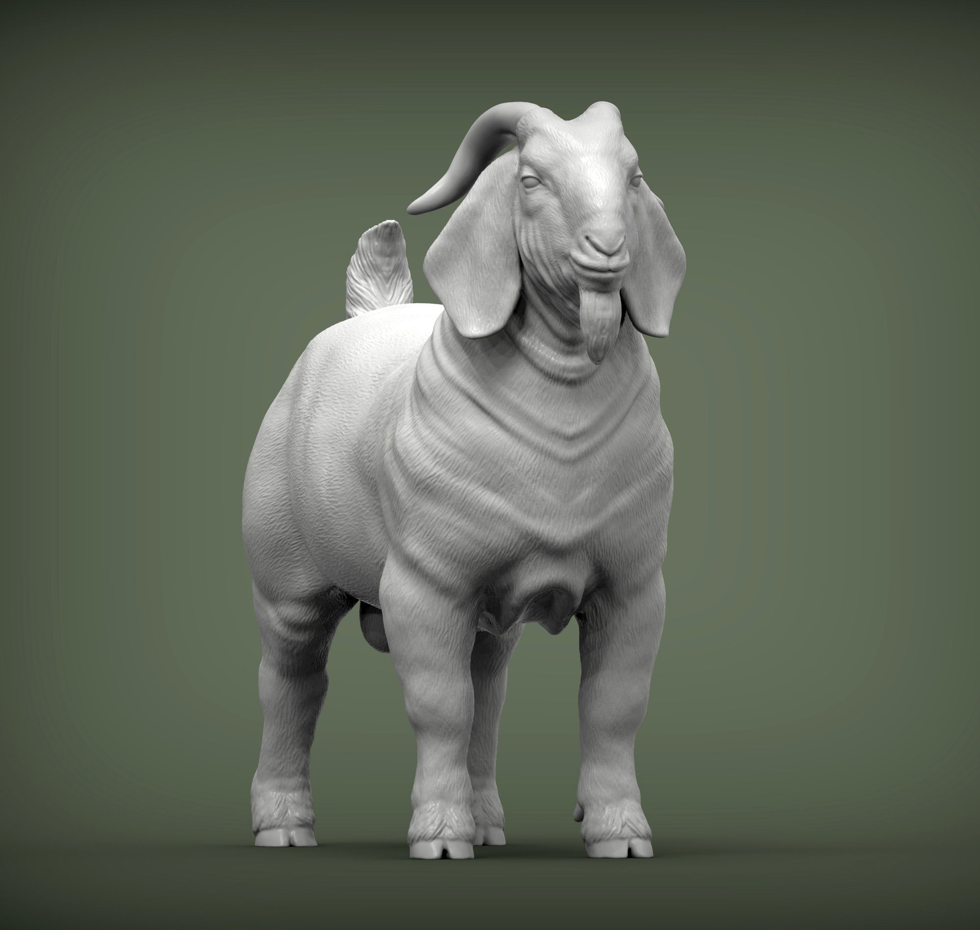 Boer Goats male 3D model 3D printable | CGTrader
