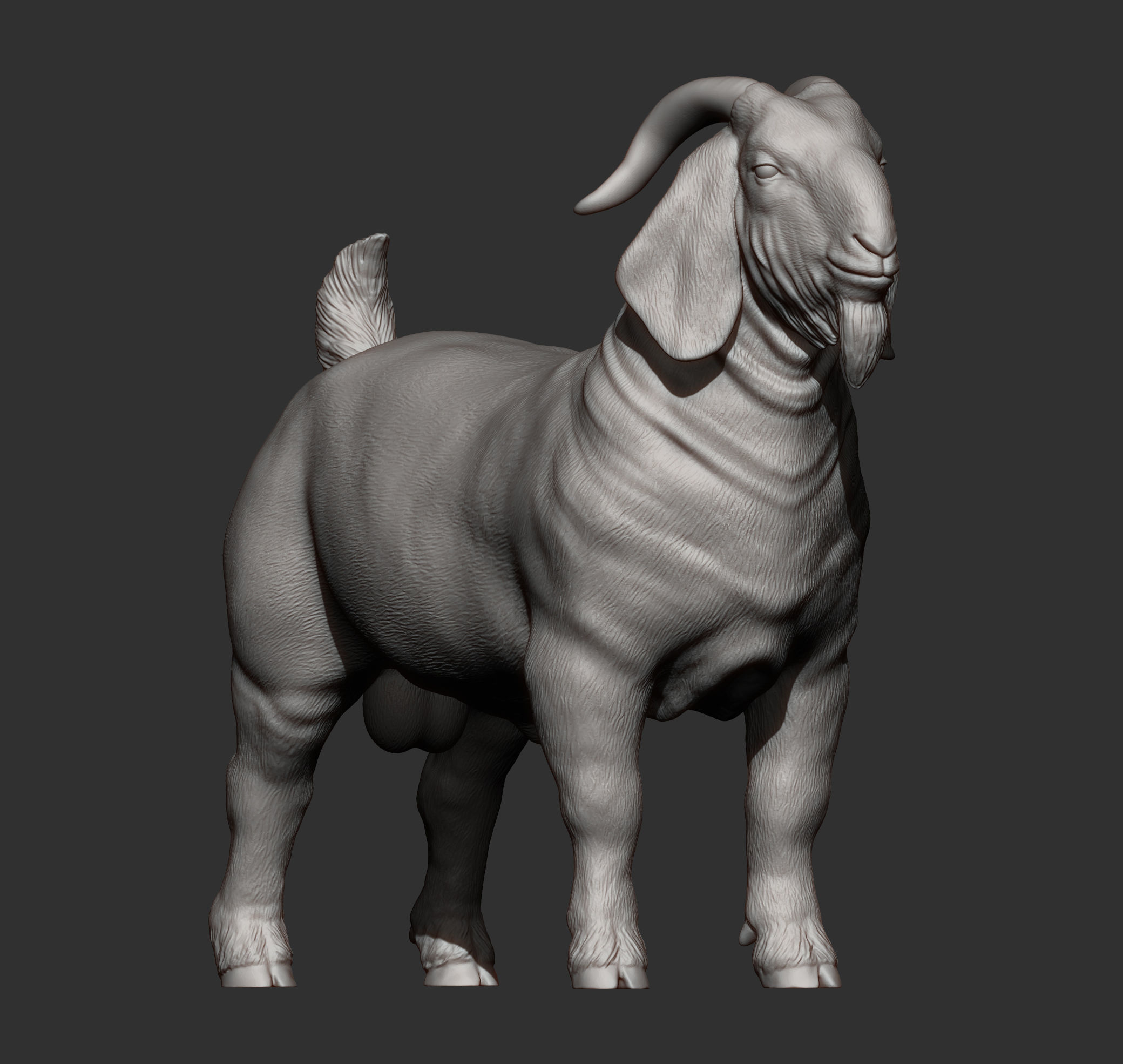 Boer Goats male 3D model 3D printable | CGTrader