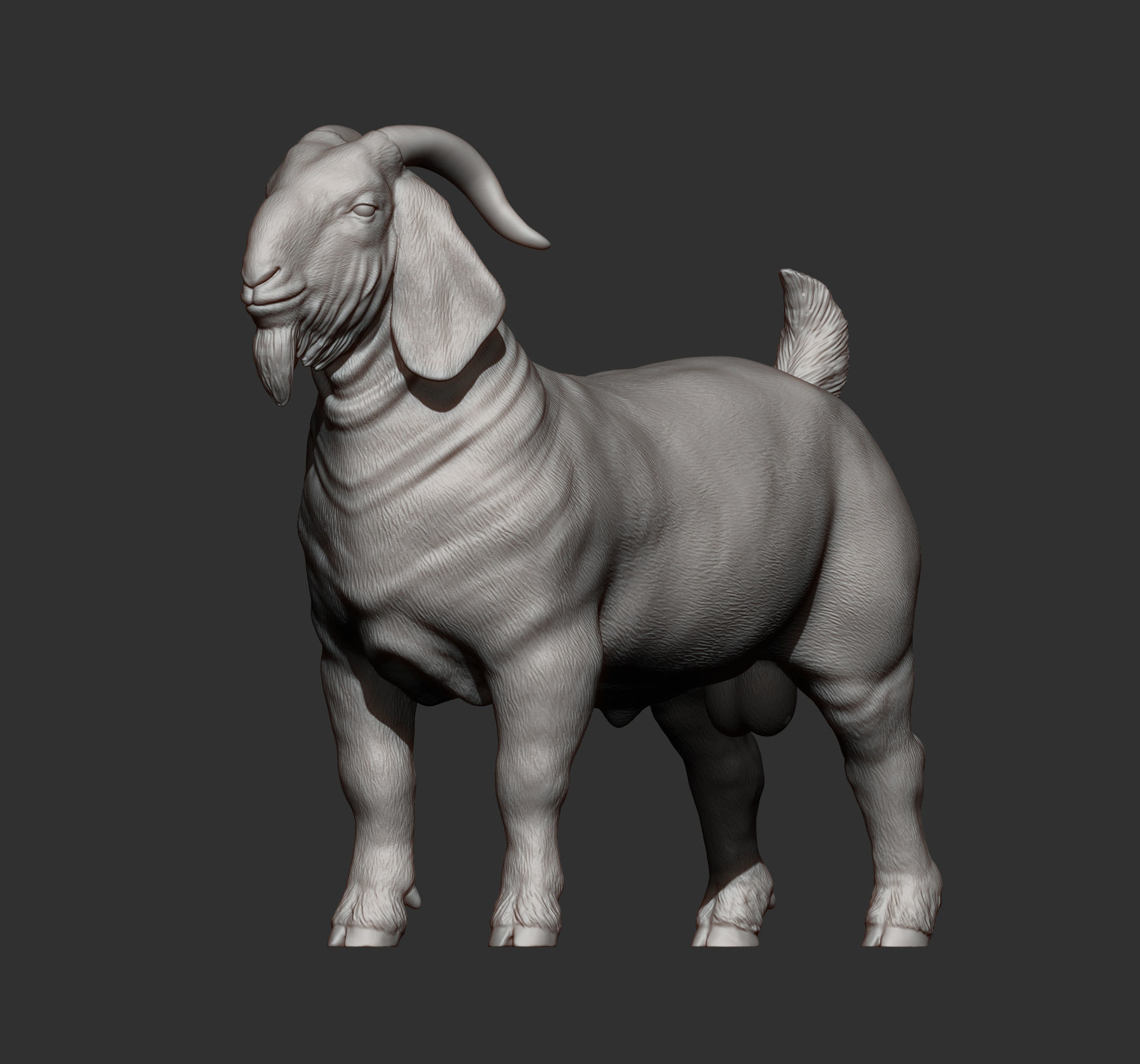 Boer Goats male 3D model 3D printable | CGTrader
