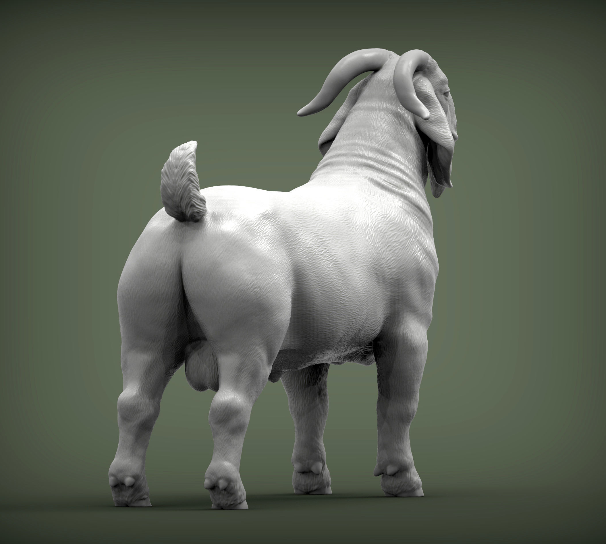 Boer Goats male 3D model 3D printable | CGTrader