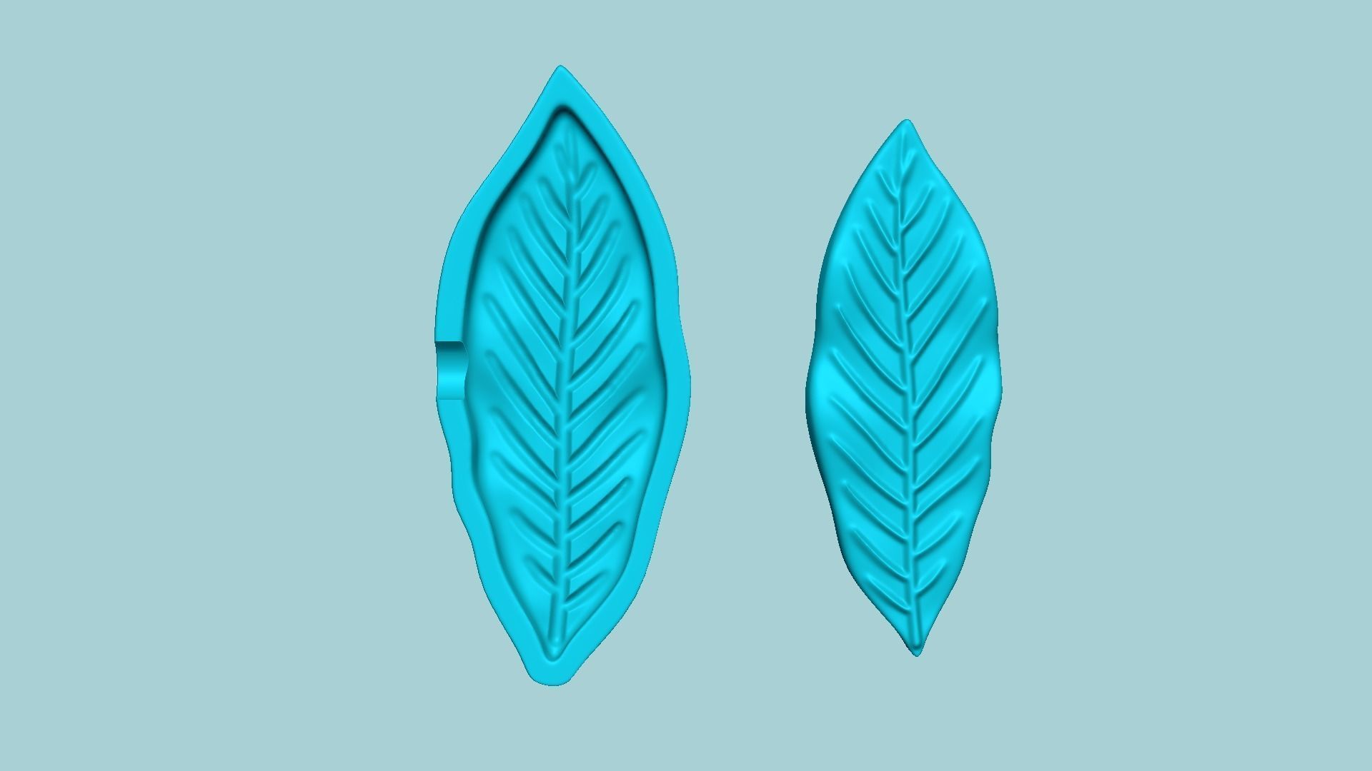 Japanese Evergreen Oak Tree Leaf - Molding EVA Craft 3D model 3D ...