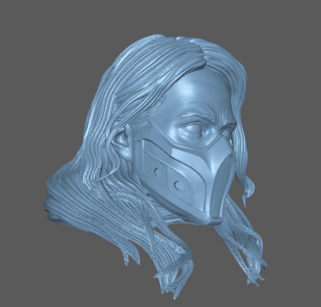 DC SPOILER STEPHANIE BROWN BATMAN HEADSCULPT 3D model 3D printable ...