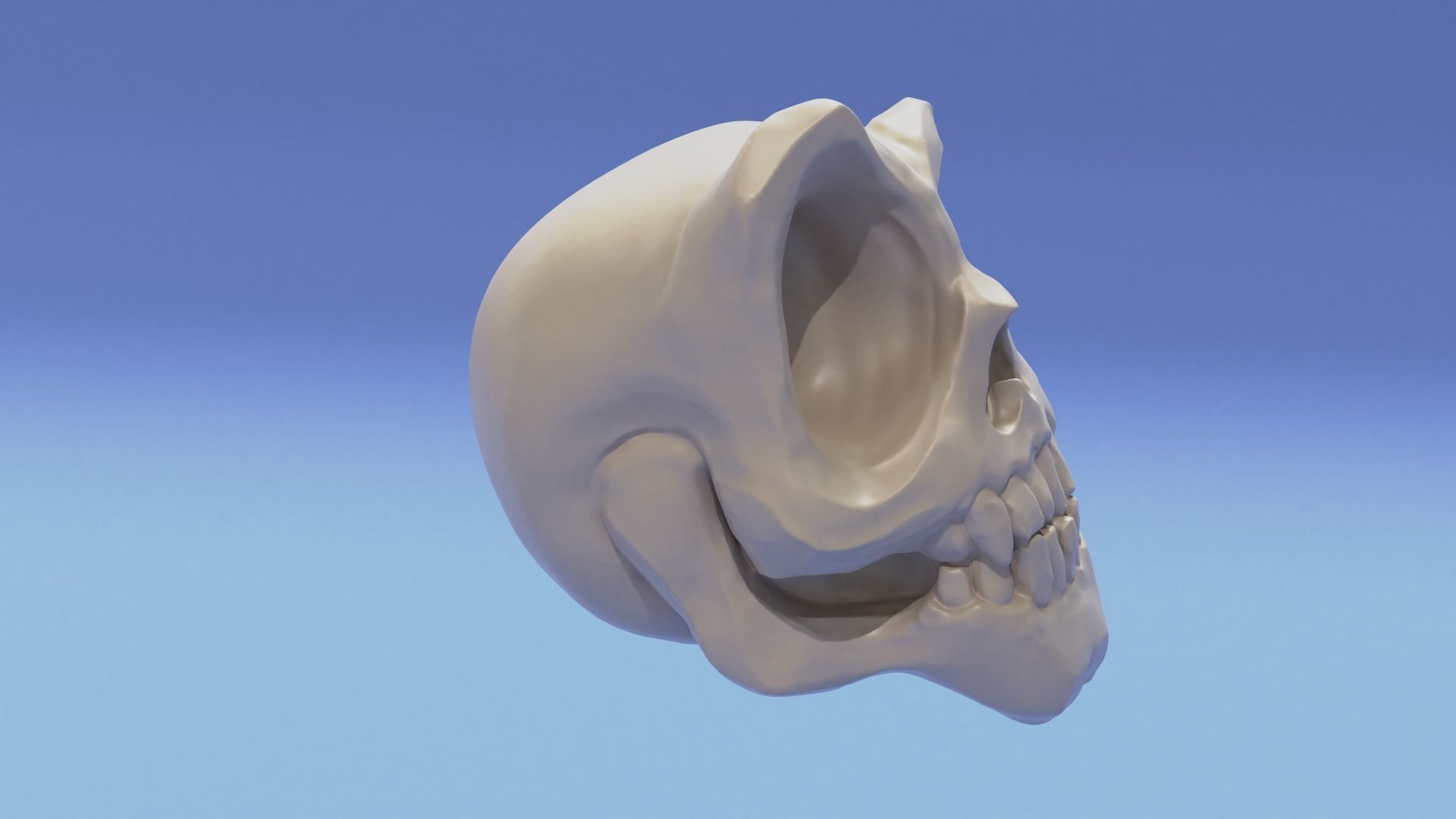 Funny Sculpting Scull 3d Model 3d Printable Cgtrader