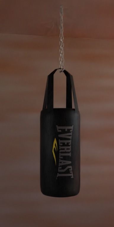 everlast heavy boxing bag free VR / AR / low-poly 3D model | CGTrader