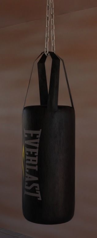 everlast heavy boxing bag free VR / AR / low-poly 3D model | CGTrader