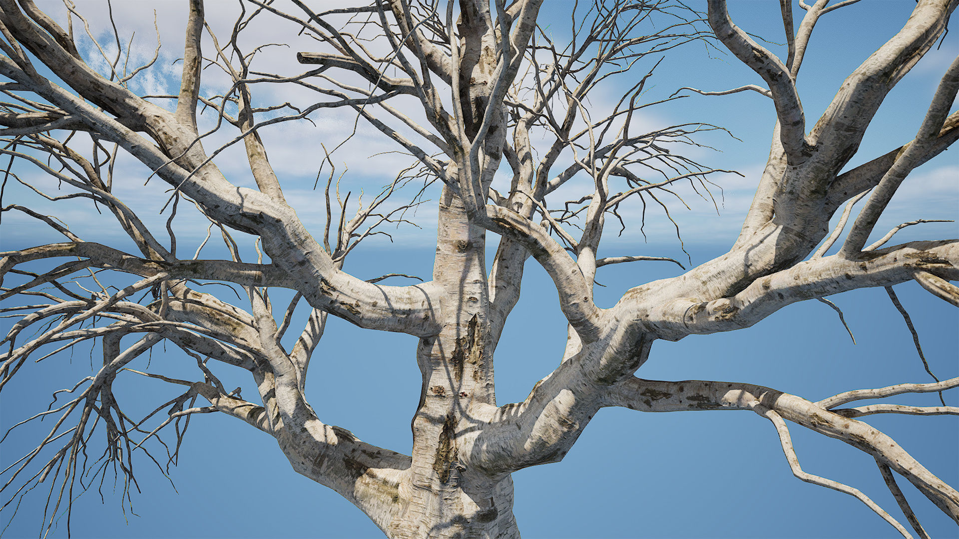 3D model Realistic Leafless Tree Trunk VR / AR / low-poly | CGTrader