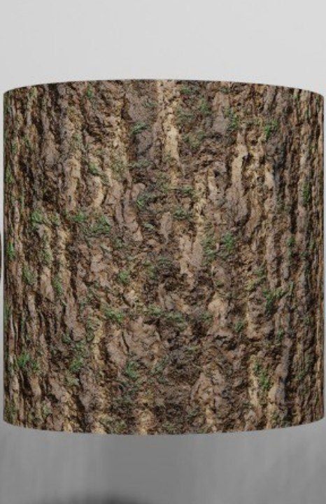 Texture 2 barks tree VR / AR / low-poly | CGTrader