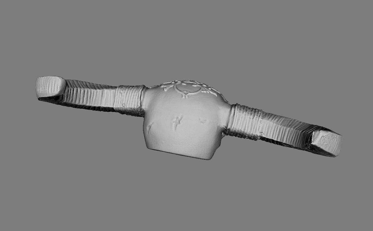 Animal Skull - Printable - scanned 3D model 3D printable | CGTrader