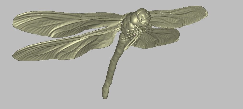 High Accurate Real life Firefly 3D-Scan 3D print model 3D model 3D ...