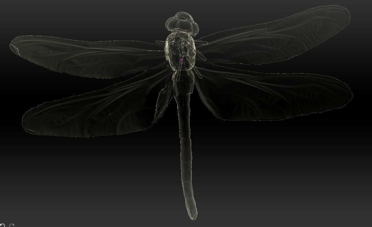 High Accurate Real life Firefly 3D-Scan 3D print model 3D model 3D ...