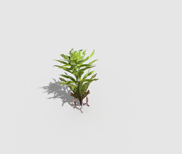 3D model Low poly Plant VR / AR / low-poly | CGTrader