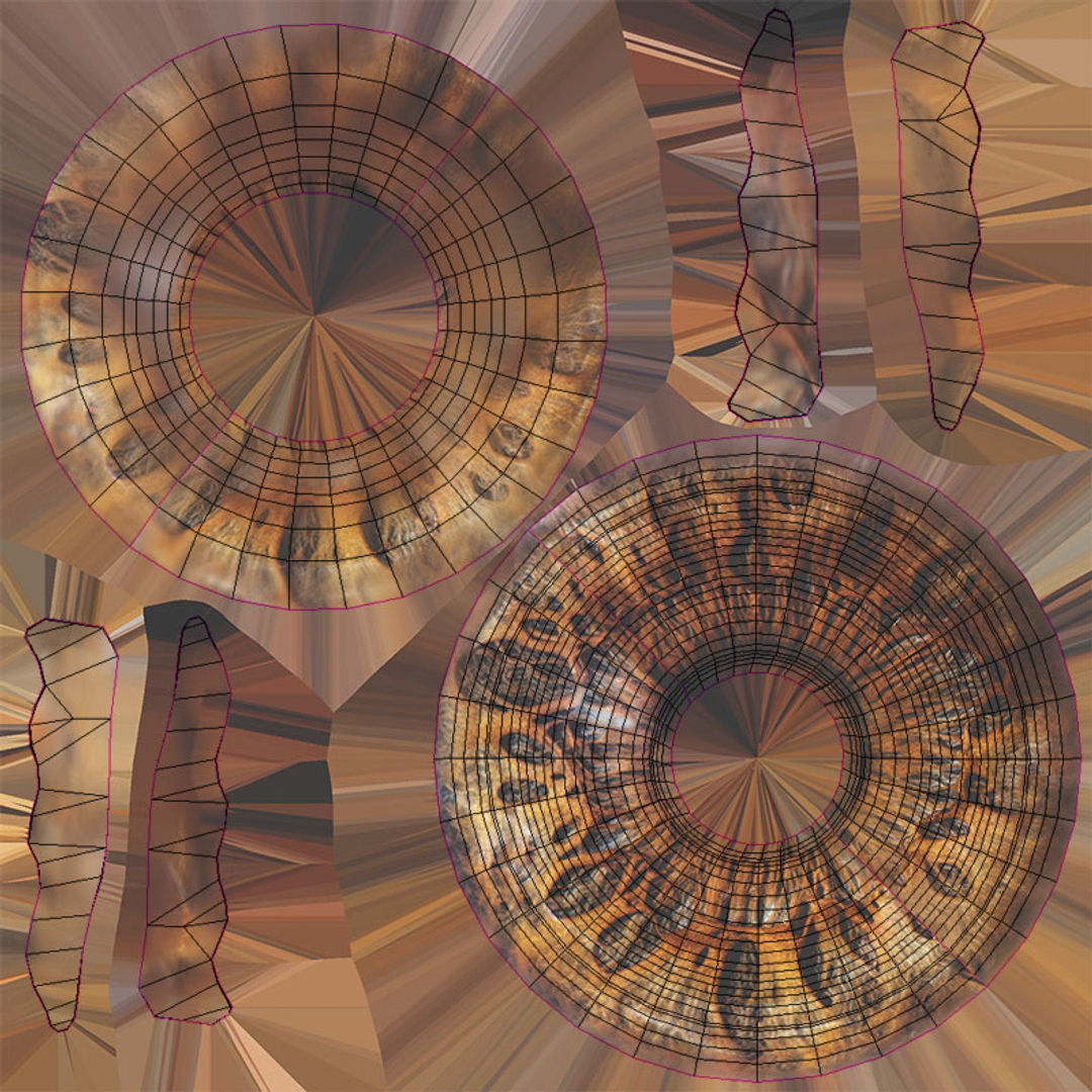 3D model Human Iris VR / AR / low-poly | CGTrader