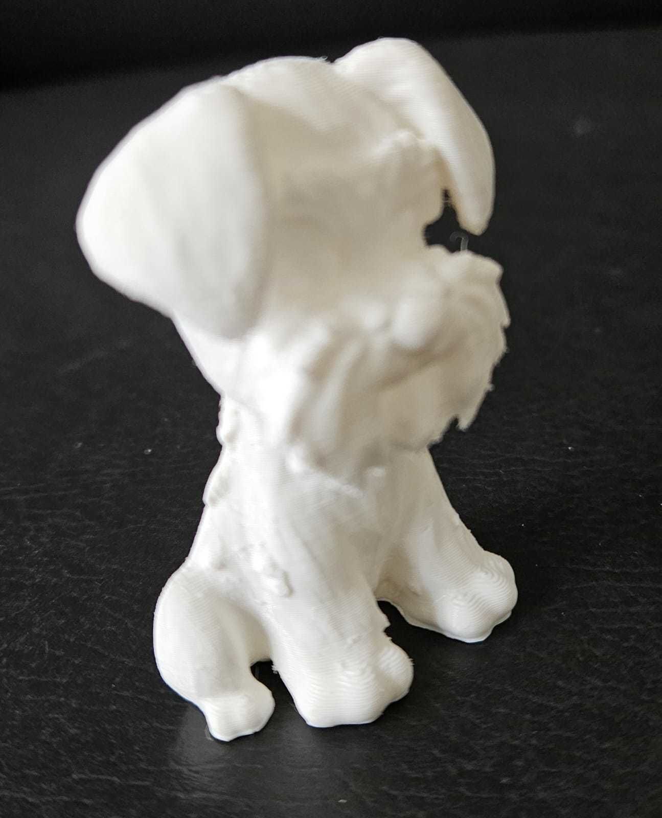 Schnauzer Flat 3D model 3D printable | CGTrader