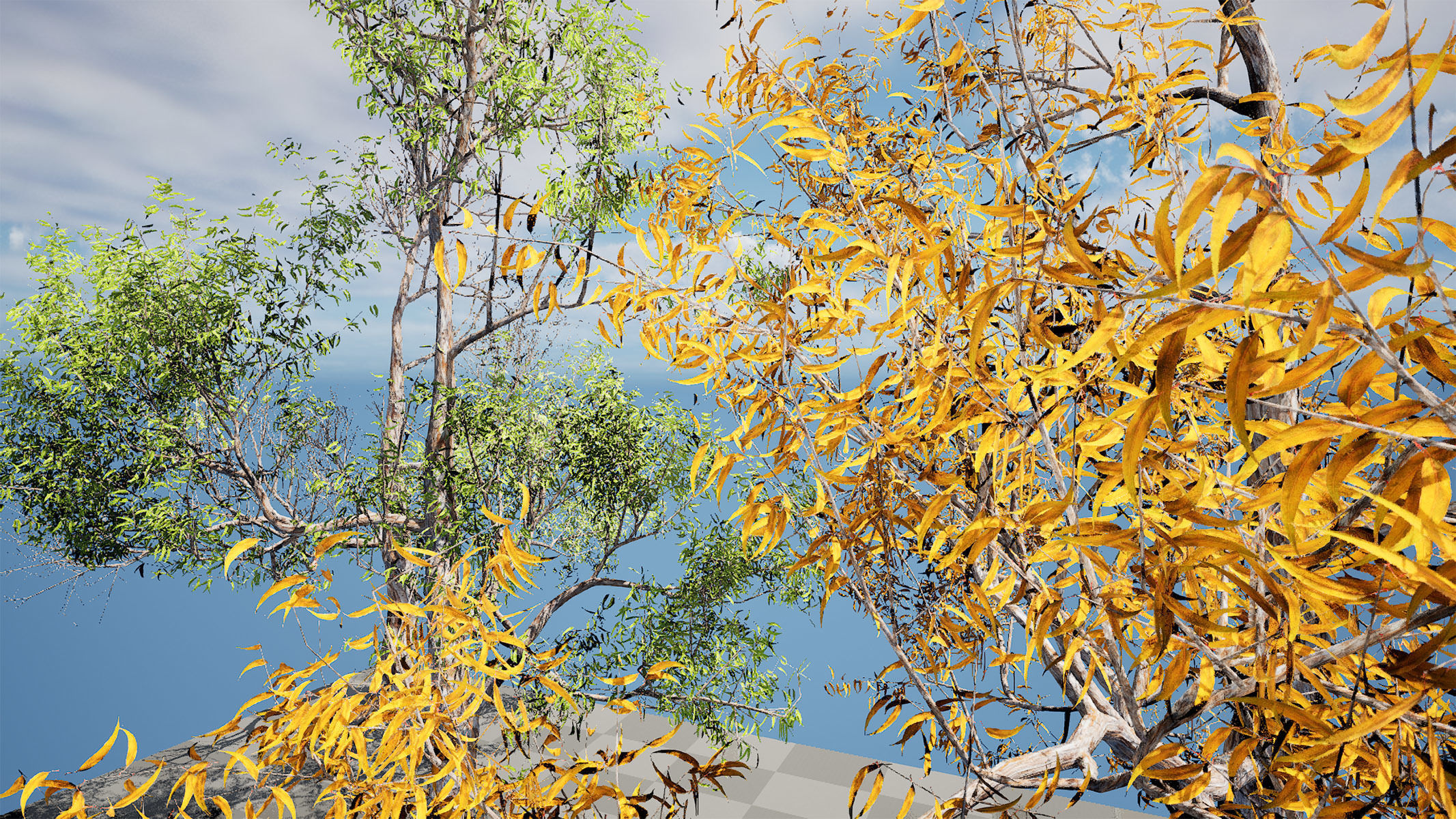 Highly Detailed Gum Tree 3D Models free VR / AR / low-poly 3D model ...