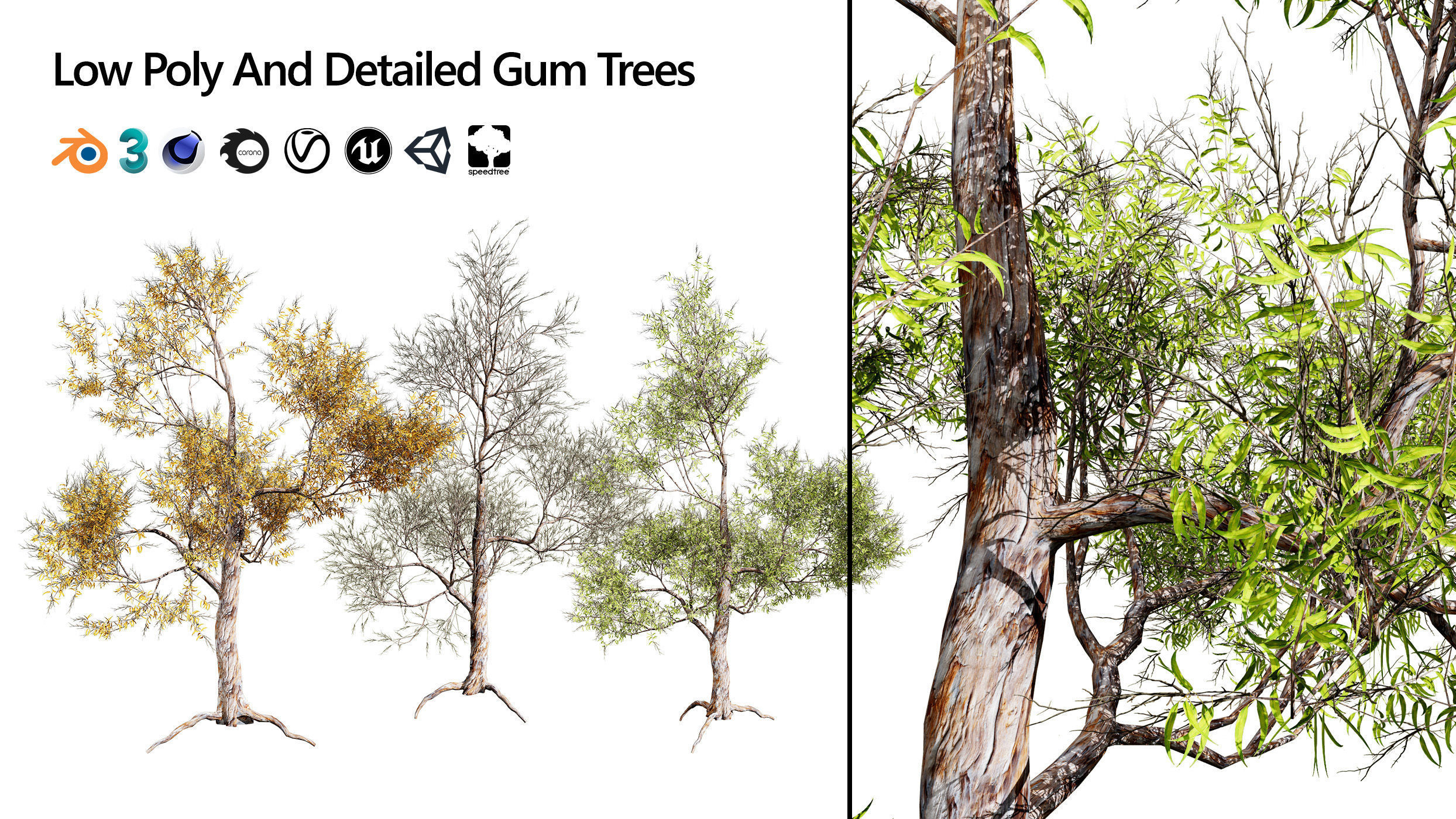 Highly Detailed Gum Tree 3D Models free VR / AR / low-poly 3D model ...