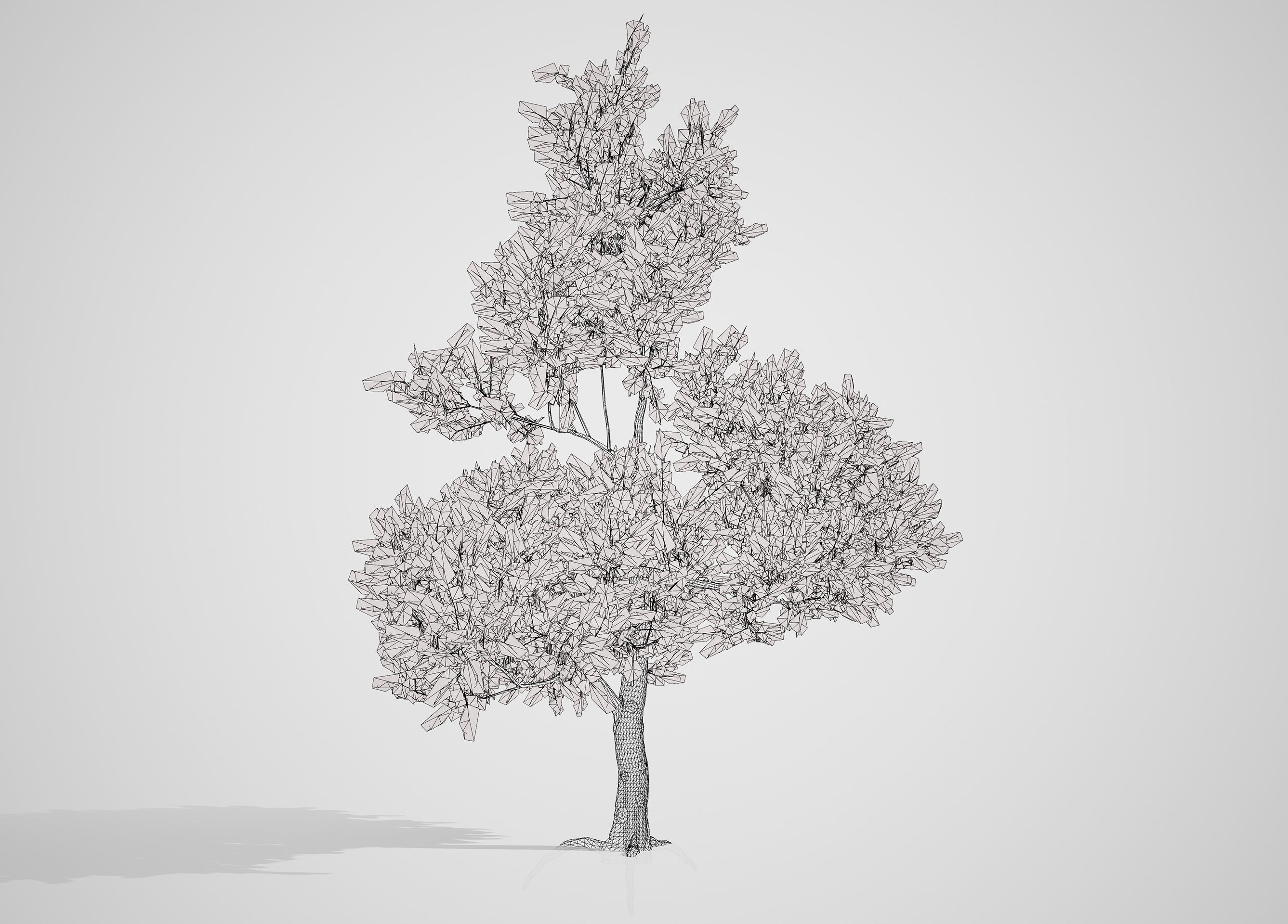 Highly Detailed Gum Tree 3D Models free VR / AR / low-poly 3D model ...