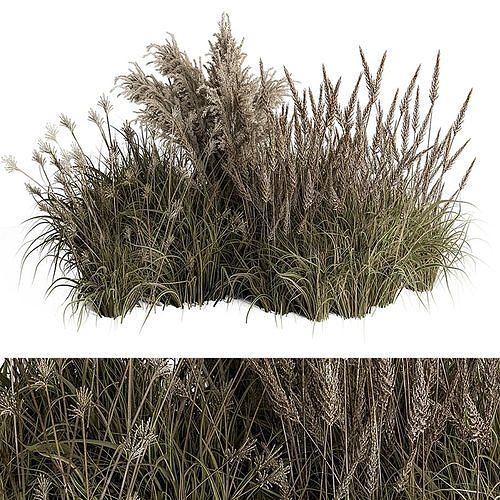 and grass flowers Modern 3D model | CGTrader