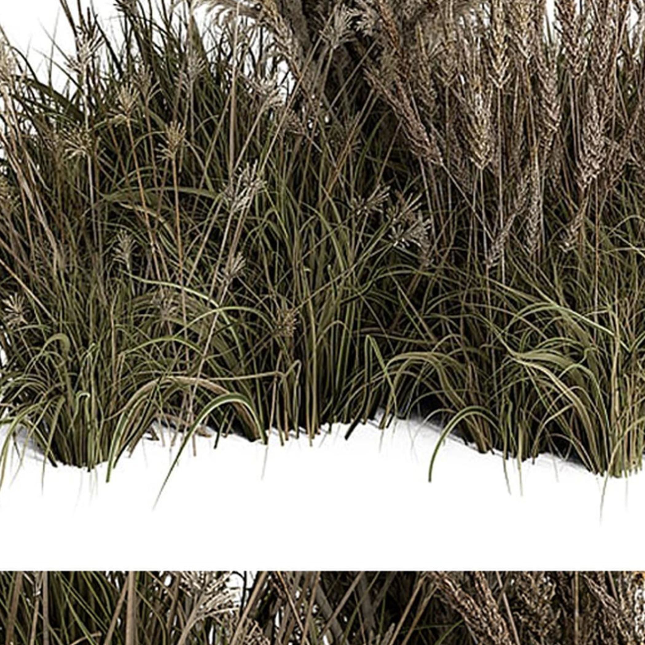 and grass flowers Modern 3D model | CGTrader