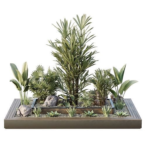 HQ Tree and bush garden box outdoor VOL 31 3D model | CGTrader