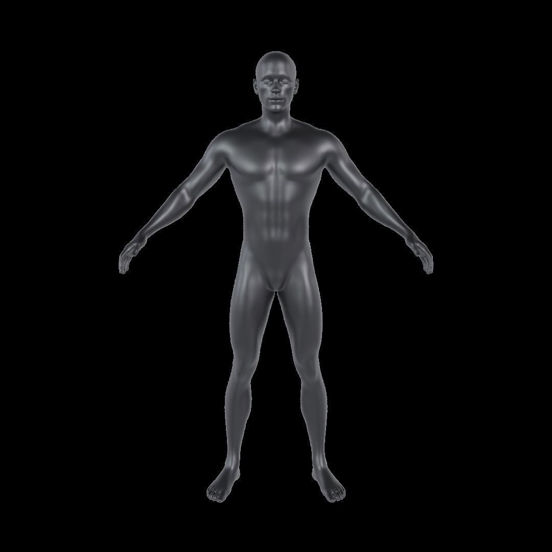 Human Male Base free 3D model | CGTrader