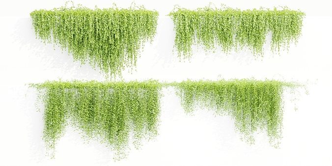 Creeper plants collection vol 144-Blender 3D model | CGTrader