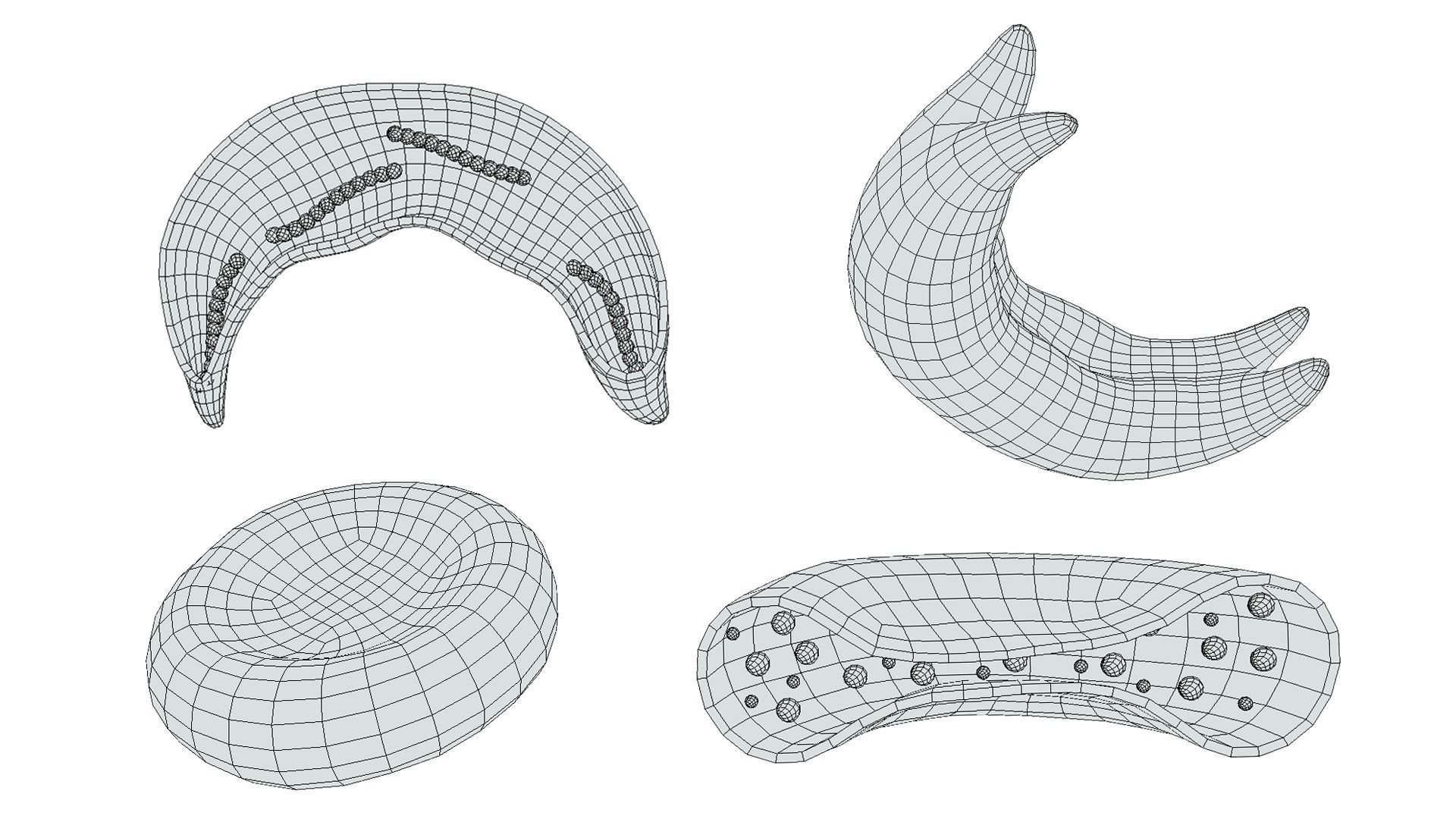 Cross Section of Normal vs Sickle Red Blood Cell 3D model | CGTrader