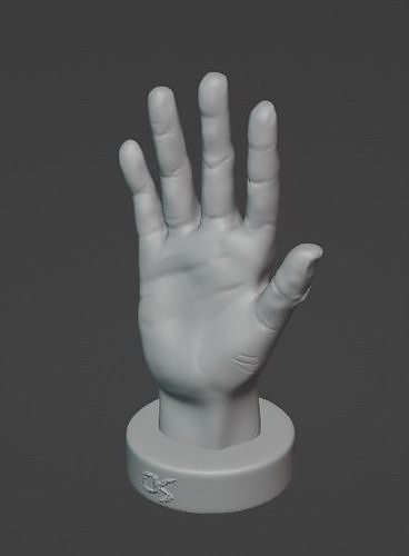 Realistic Hand 3D model 3D printable | CGTrader
